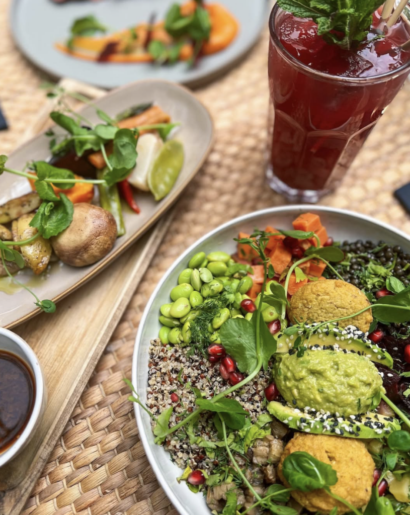 Gourmet Falafel recipe - CAMPO CATERING MARBELLA